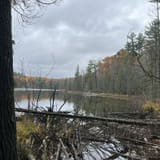Ransom Lake Loop, Michigan - 250 Reviews, Map | AllTrails