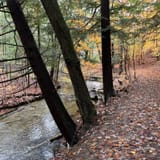 Ransom Lake Loop, Michigan - 250 Reviews, Map | AllTrails