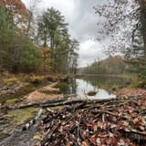 Ransom Lake Loop, Michigan - 250 Reviews, Map | AllTrails