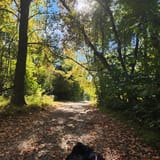 Turkey Point Lighthouse Trail, Maryland - 895 Reviews, Map | AllTrails