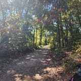 Turkey Point Lighthouse Trail, Maryland - 895 Reviews, Map | AllTrails