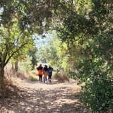 Barbara's Lake Loop Trail, California - 929 Reviews, Map | AllTrails