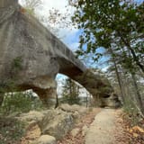 Sky Bridge Trail, Kentucky - 2,187 Reviews, Map | AllTrails