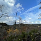 Sky Bridge Trail, Kentucky - 2,187 Reviews, Map | AllTrails