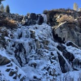Galena Falls Trail, Nevada - 2,293 Reviews, Map | AllTrails