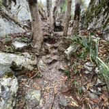 Aquila Loop, Queensland, Australia - 140 Reviews, Map | AllTrails