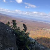 Dripping Rock South via Appalachian Trail, Virginia - 684 Reviews, Map ...