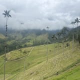 Cocora Valley Loop, Quindío, Colombia - 201 Reviews, Map | AllTrails