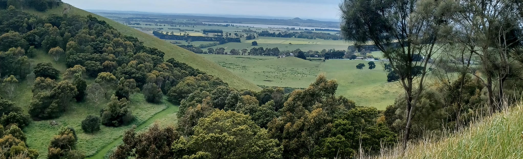 Mount Leura and Mount Sugar Loaf Loop, Victoria, Australia - 24 Reviews ...