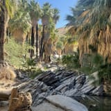 Palm Canyon Trail, California - 1,150 Reviews, Map | AllTrails