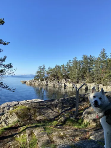 2023 Best Paddle Sports Trails in Secret Cove | AllTrails