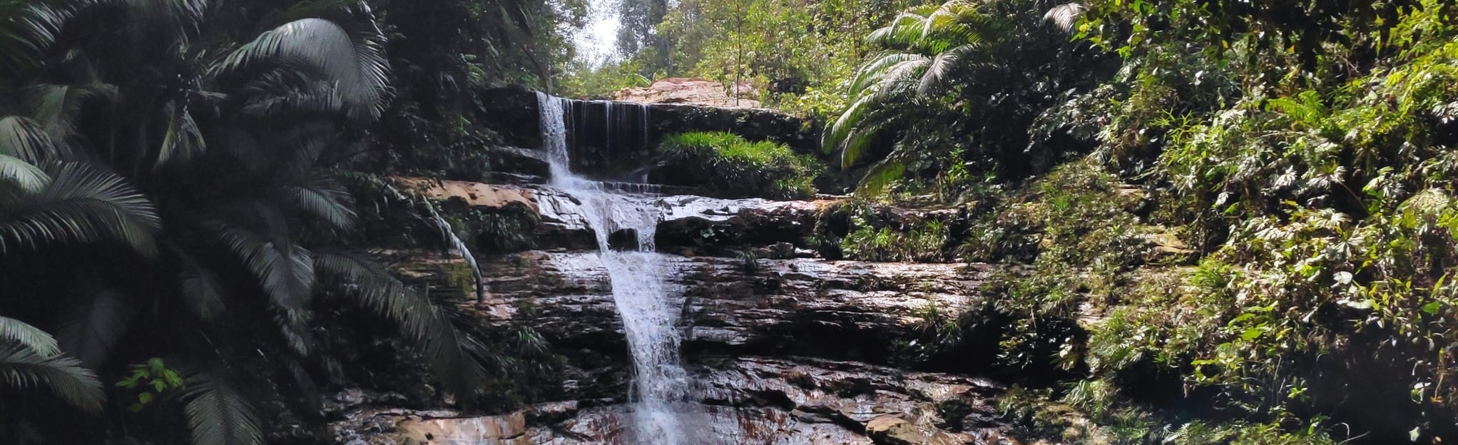 Giam Bakam Waterfall, Sarawak, Malaysia - 9 Reviews, Map | AllTrails