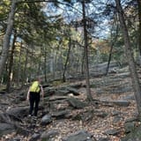 Mount Watatic, Massachusetts - 1,374 Reviews, Map | AllTrails