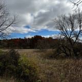 Falling Waters Trail, Michigan - 171 Reviews, Map | AllTrails