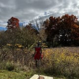 Falling Waters Trail, Michigan - 171 Reviews, Map | AllTrails