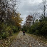 Falling Waters Trail, Michigan - 171 Reviews, Map | AllTrails