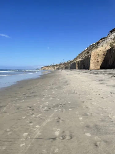 Best Hikes and Trails in Cardiff State Beach | AllTrails