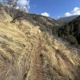 Ladybug Trail, California - 250 Reviews, Map | AllTrails
