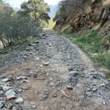 Ladybug Trail, California - 259 Reviews, Map | AllTrails