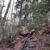 Mount Jackson and Mount Webster Trail Loop, New Hampshire - 2,078 ...
