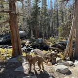 Indian Pools Trail, California - 724 Reviews, Map | AllTrails