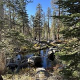 Indian Pools Trail, California - 724 Reviews, Map | AllTrails