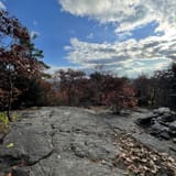 Mount Watatic, Massachusetts - 1,374 Reviews, Map | AllTrails