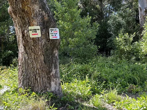 Best Mountain Biking Trails in Mount Keira | AllTrails