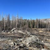 Lake Margaret Trail, California - 1,061 Reviews, Map | AllTrails