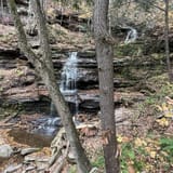 Turkey Path, Pennsylvania - 615 Reviews, Map | AllTrails