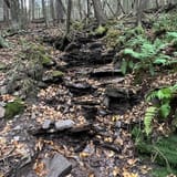Turkey Path, Pennsylvania - 615 Reviews, Map | AllTrails