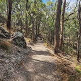 Toohey and Nathan Ridge Track , Queensland, Australia - 582 Reviews ...