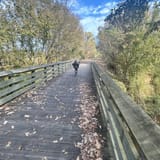 Tanglefoot Trail, Mississippi - 209 Reviews, Map | AllTrails