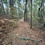 Massasoit Trails, Massachusetts - 1,173 Reviews, Map | AllTrails
