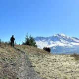 Hummocks Trail, Washington - 943 Reviews, Map | AllTrails