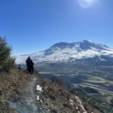 Hummocks Trail, Washington - 943 Reviews, Map | AllTrails