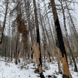 Red Lake Trail, Utah - 265 Reviews, Map | AllTrails