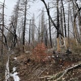 Red Lake Trail, Utah - 265 Reviews, Map | AllTrails