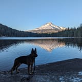 Trillium Lake Loop Trail, Oregon - 2,246 Reviews, Map | AllTrails