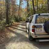 Cashes Valley Road, Georgia - 262 Reviews, Map | AllTrails