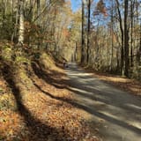 Cashes Valley Road, Georgia - 262 Reviews, Map | AllTrails