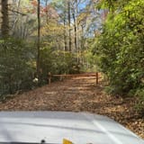 Cashes Valley Road, Georgia - 262 Reviews, Map | AllTrails