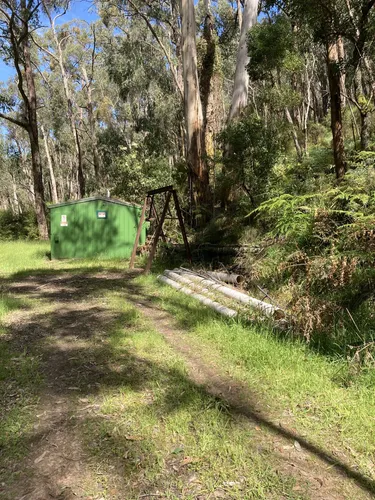 Best Hikes and Trails in One Tree Hill Reserve | AllTrails