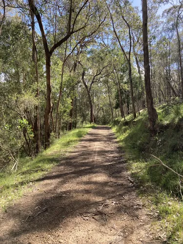 Best Hikes and Trails in One Tree Hill Reserve | AllTrails