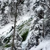Karst Spring Trail, Alberta, Canada - 856 Reviews, Map | AllTrails