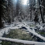 Karst Spring Trail, Alberta, Canada - 856 Reviews, Map | AllTrails