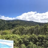 Mahana Ridge Trail, Maui, Hawaii - 1,209 Reviews, Map | AllTrails