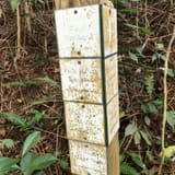 Mahana Ridge Trail, Maui, Hawaii - 1,209 Reviews, Map | AllTrails