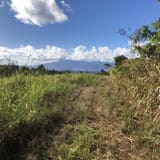 Mahana Ridge Trail, Maui, Hawaii - 1,235 Reviews, Map | AllTrails