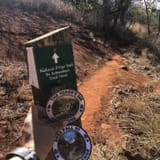 Mahana Ridge Trail, Maui, Hawaii - 1,246 Reviews, Map | AllTrails